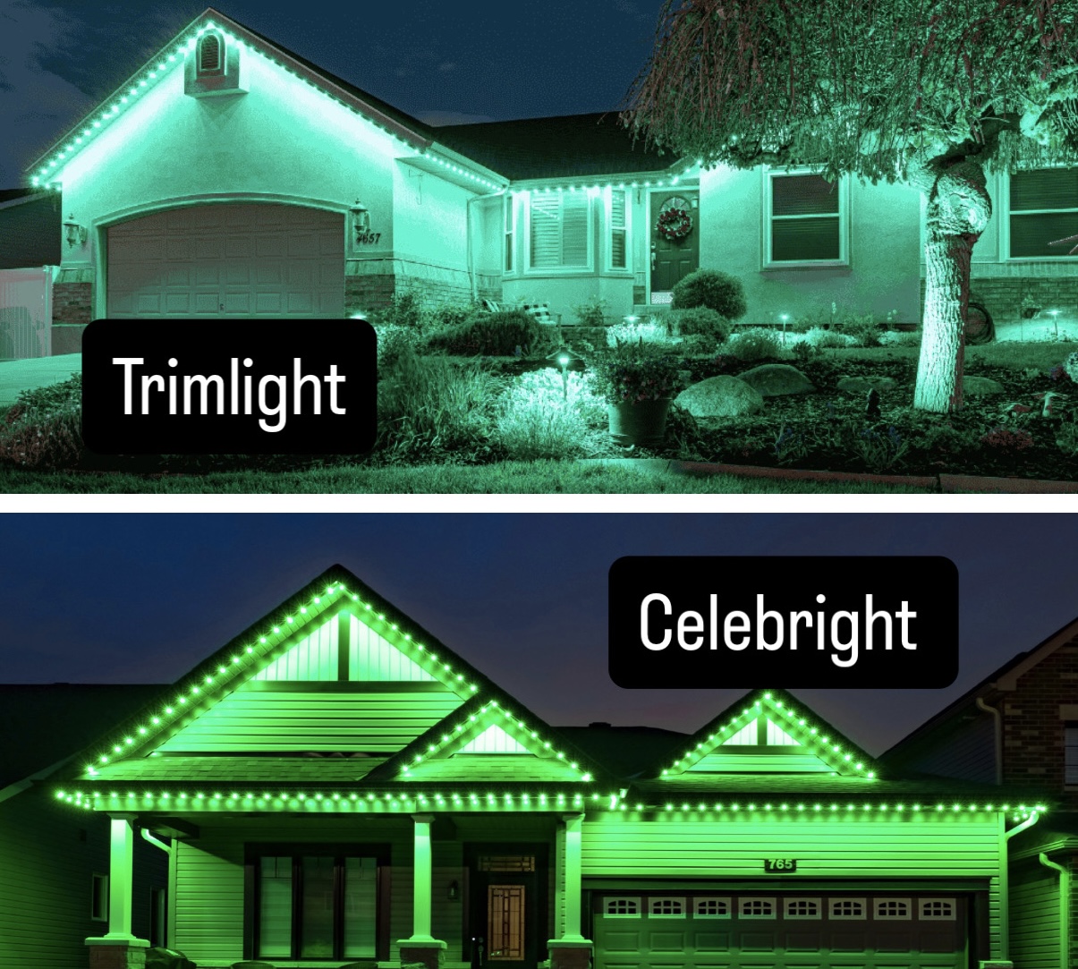 Jellyfish Lighting Vs Trimlight